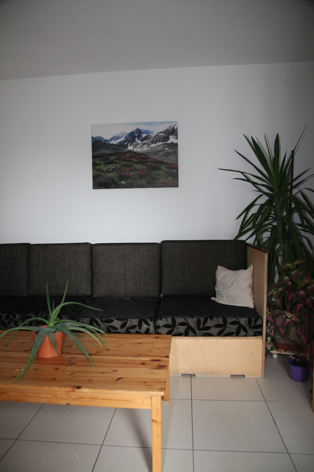 Einweihungsfeiern - TWG Jonathan - Stiftung St. Zeno